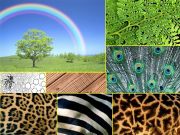 Pattern for KS1 and KS2 art lesson, download PowerPoint to teach ...