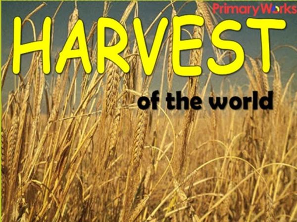 Harvest PowerPoint | KS1 & KS2 harvest assembly | collective worship ...