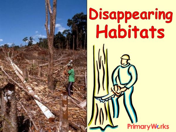 Habitats for KS2 georgaphy or science unit on environmental change and ...