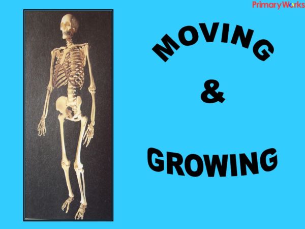 Moving & growing KS2 Powerpoint science unit primary children on moving ...