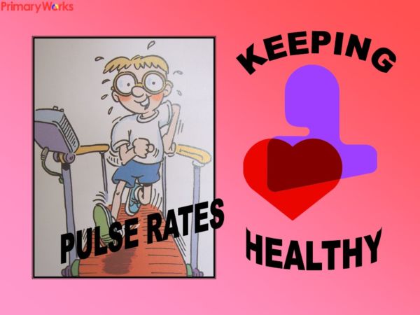 Pulse Rates PowerPoint for teaching Pulse Rates science Keeping Healthy ...