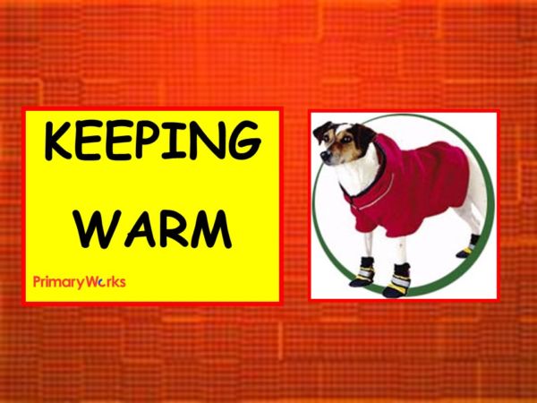 Keeping Warm KS2 Powerpoint on Thermal Insulation for primary science ...