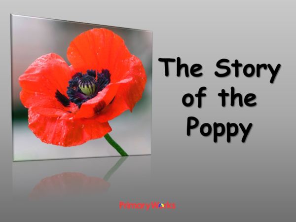 Download Remembrance Story of Poppy Powerpoint for ks1, ks2 Primary assembly, collective worship ...