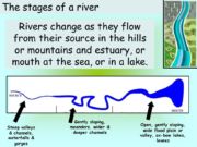 Rivers PowerPoint for teaching Rivers geography unit for primary KS2 or ...