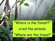 Rainforest PowerPoint for KS1 & KS2 children for primary literacy ...