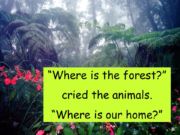 Rainforest PowerPoint for KS1 & KS2 children for primary literacy ...